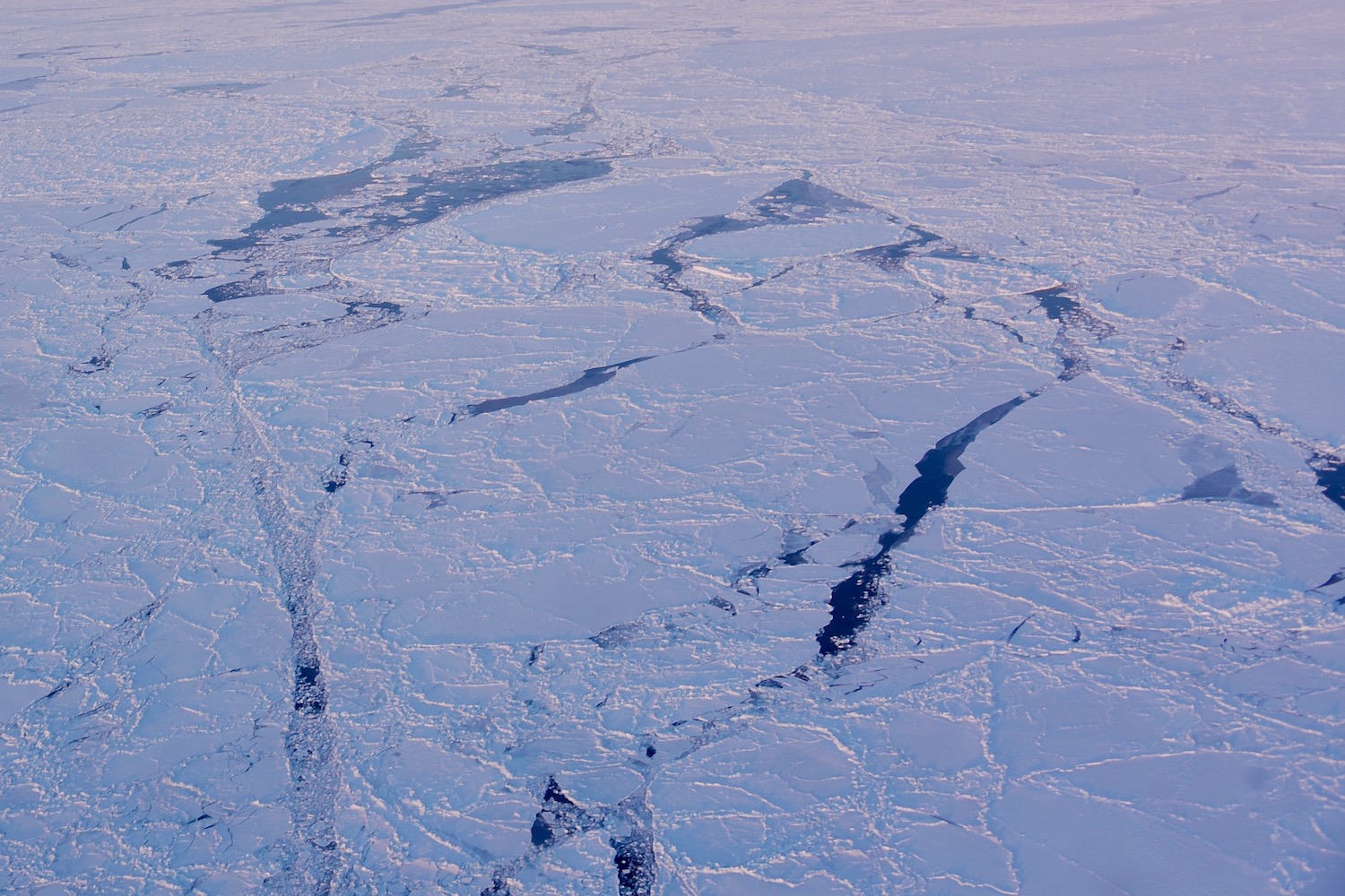 Cryovex and Karen: Invisible sea ice – Campaign Earth