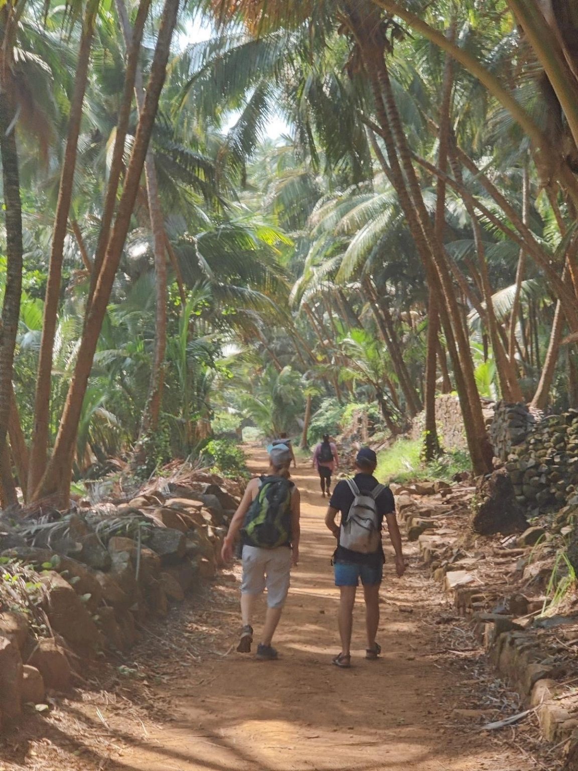 Rocket fairing signed – Earth observation launch campaigns