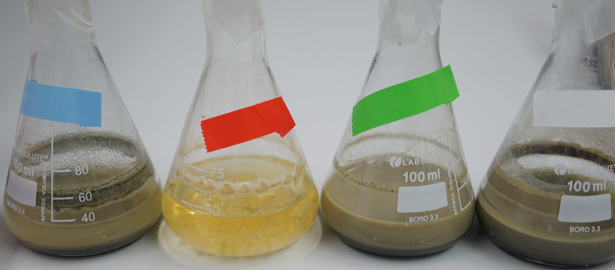 Mining lunar minerals with terrestrial fungi – ESA – Exploration